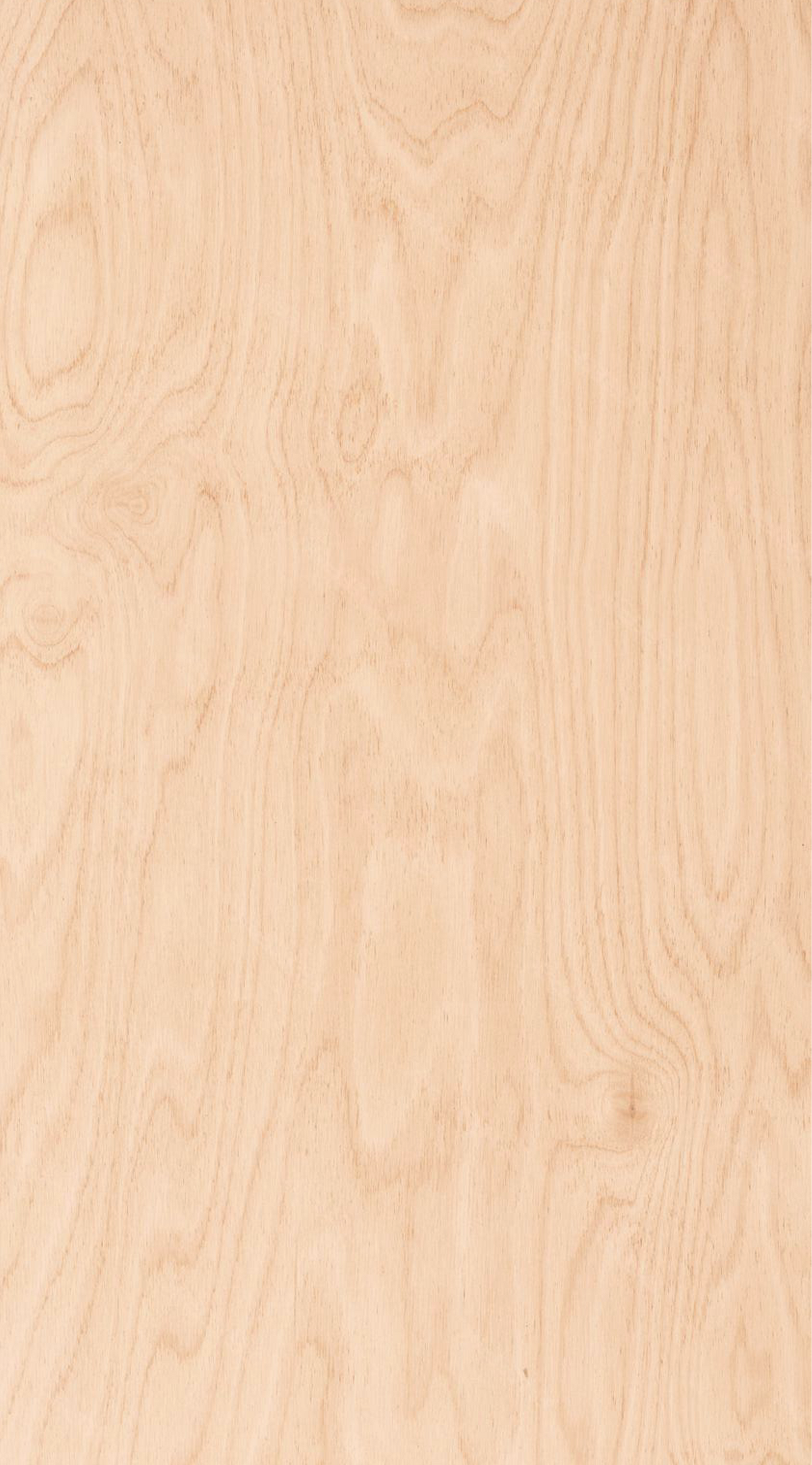 Jumbo Exterior Hardwood Plywood BB/CC – Bord Products