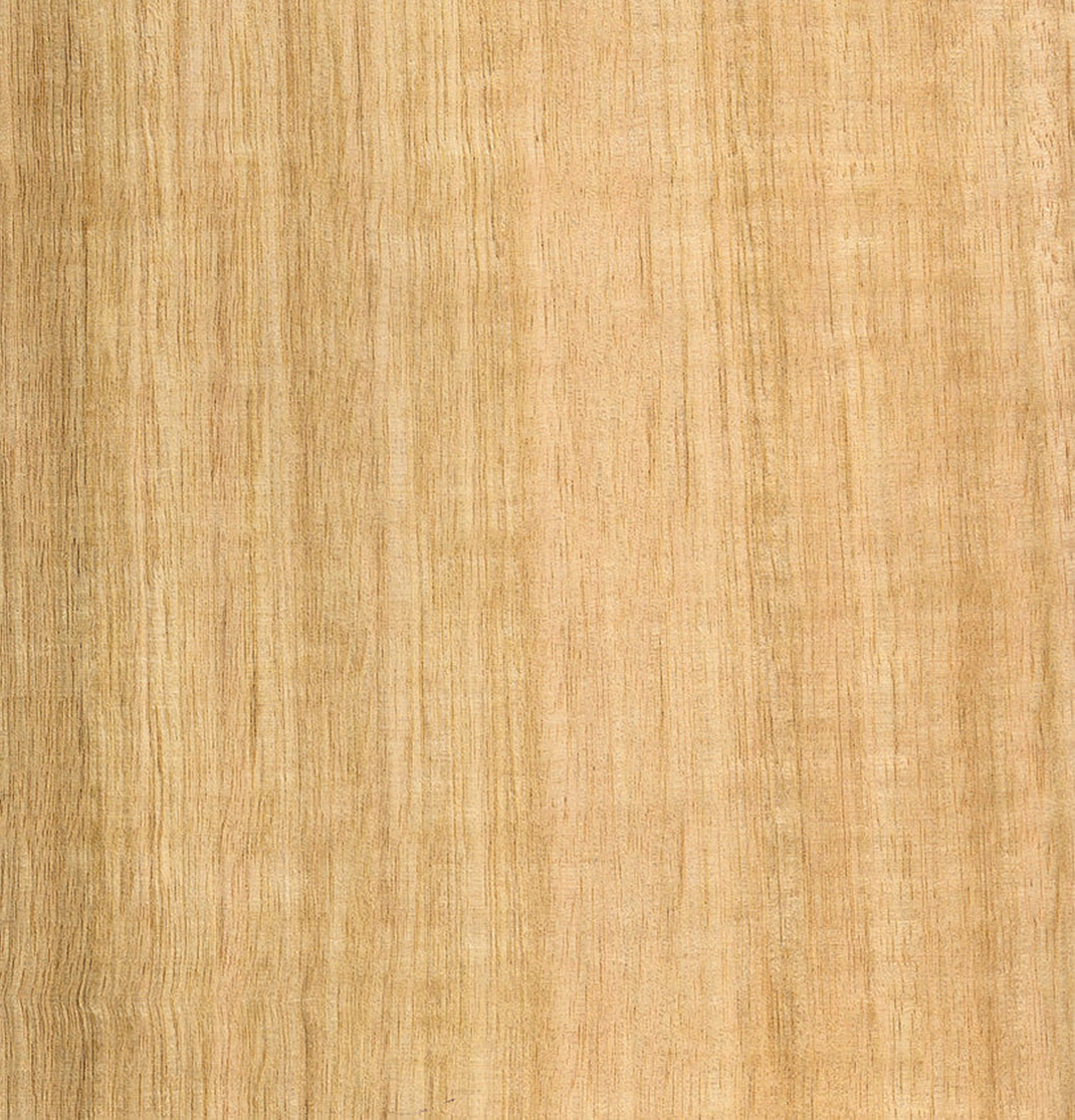 Natural Wood Veneer Sheets Suppliers | Bord Products