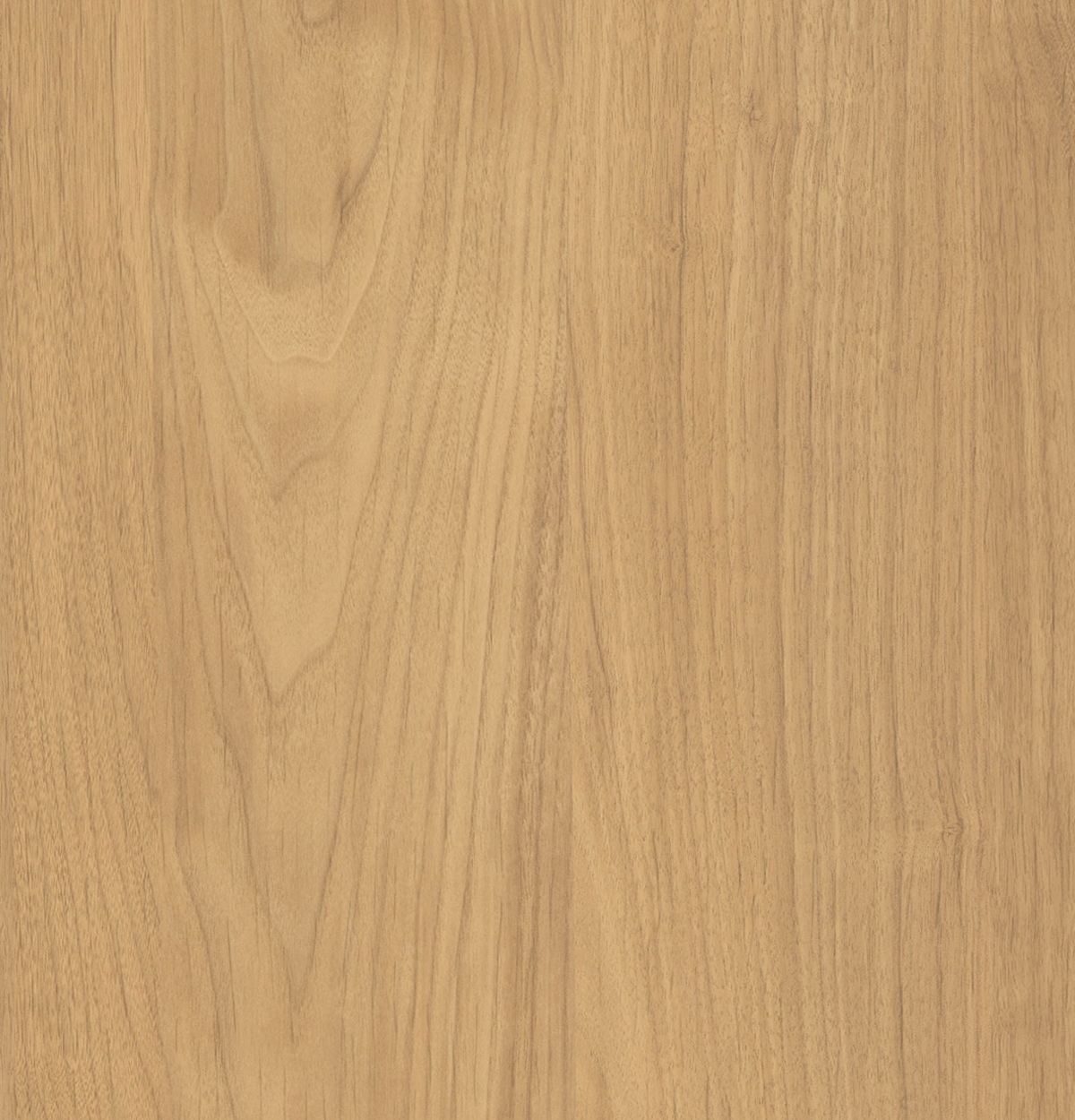 Warm Oak EVOGRAIN Hyperreal Sample – Bord Products