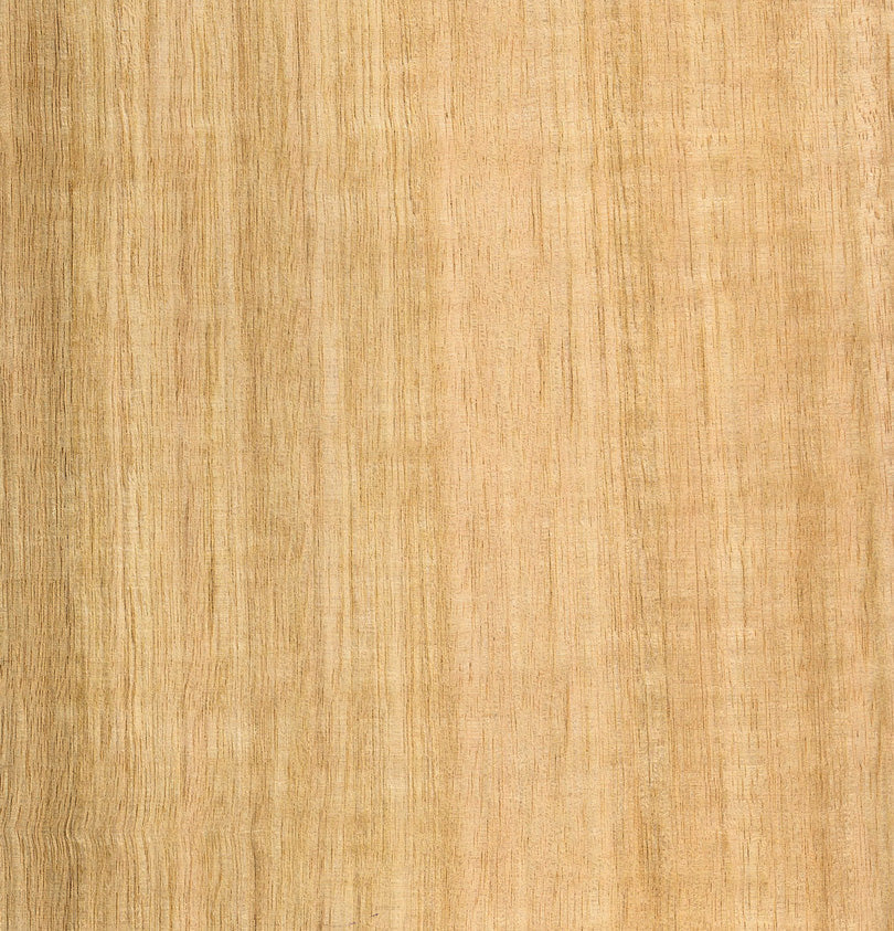 Tasmanian Oak Veneer Quarter Cut Sample – Bord Products