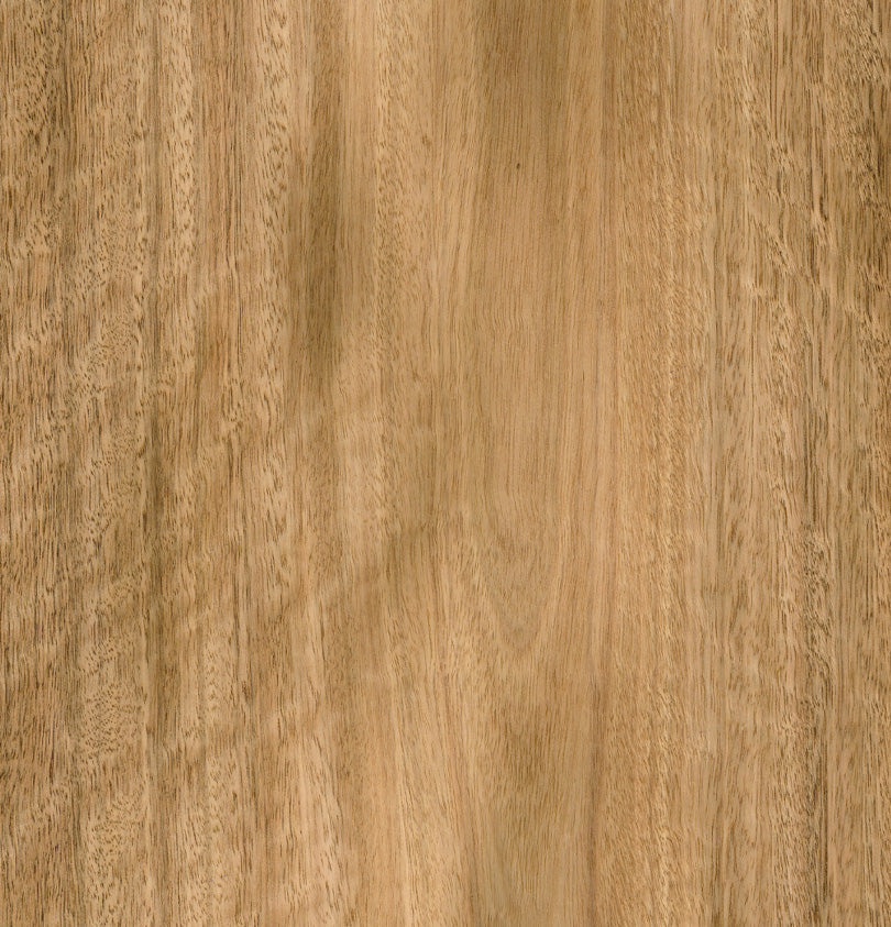 Spotted Gum Veneer Crown Cut Sample – Bord Products