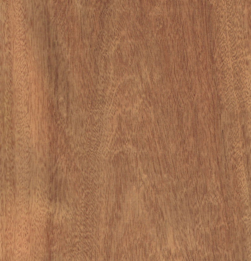 Sapele Veneer Crown Cut Sample – Bord Products